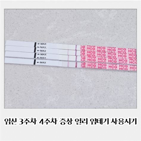 임신 3주차 4주차 증상 얼리 임테기 사용시기 네이버 블로그