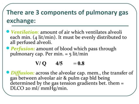Pulmonary Function Testing PPT Lung And Respiratory Health Diseases And Conditions