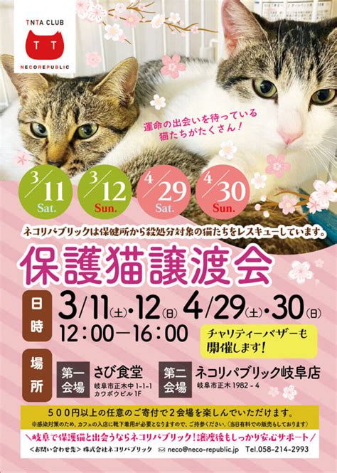 4月29日（土）30日（日）！岐阜県最大級 子猫＆保護猫譲渡会 あたたかな春に、あたらしい家族を🐾 ネコリパブリック｜日本の猫の殺処分をゼロに！
