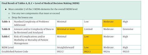 Chapter 19 Cpt® Section Evaluation And Management Workbook Case 1 Answers And Rationale