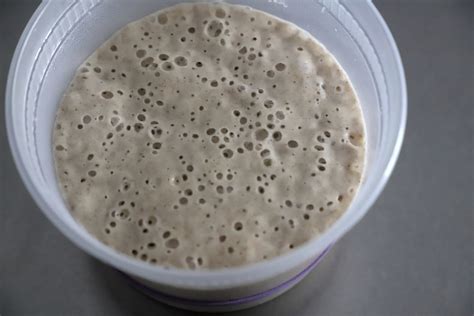 Creating A Starter No Knead To Worry