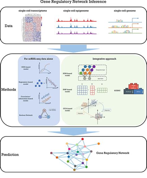 How To Infer Gene Regulatory Networks From Omics Data
