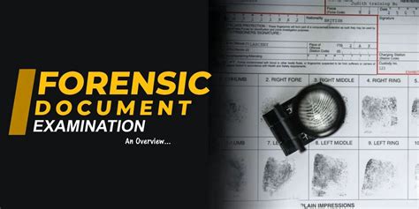 Forensic Document Examination An Overview