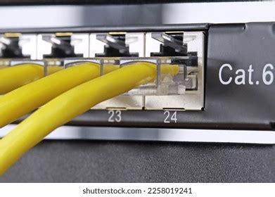 Connecting Ethernet Switch Using Patch Cords Stock Photo Shutterstock