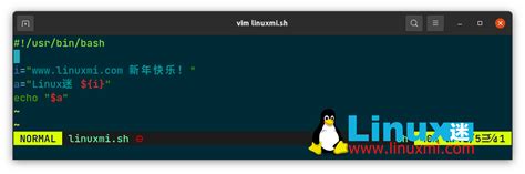 如何使用 Bash 连接字符串 Linux迷