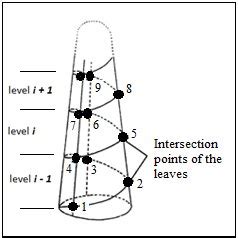 Arrangement Of Leaves In The Plant Download Scientific Diagram