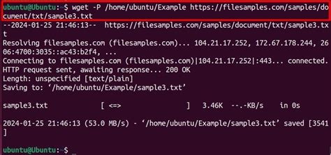 Wget And Curl For Downloading Files In Linux A Complete Guide Dracula Servers Tutorials
