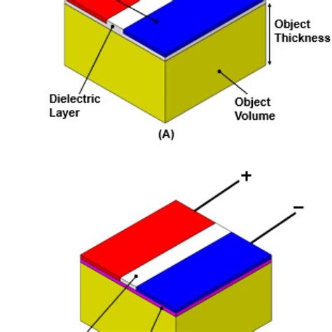 A Anatomy Of A Simple Electroadhesor Equipped With A Dielectric Download Scientific Diagram
