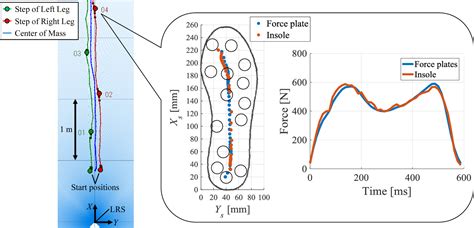 Figure 5 From Kinetic And Spatiotemporal Gait Analysis System Using Instrumented Insoles And