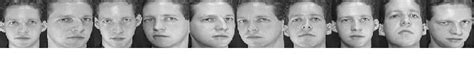 Figure 1 From Fuzzy Local Discriminant Embedding For Image Feature