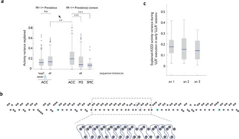 Figures And Data In Acc Neural Ensemble Dynamics Are Structured By
