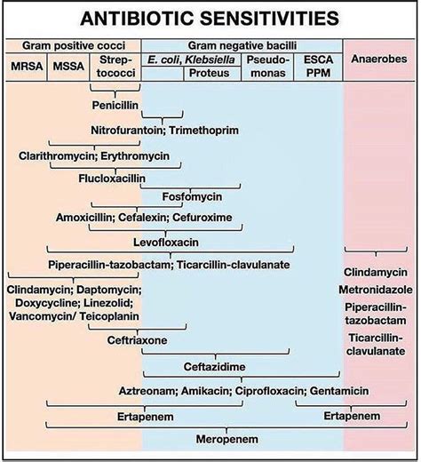 How To Read Antibiotic Sensitivity Chart