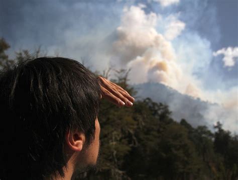 Tres Incendios Forestales En La Araucanía Han Arrasado Con Más De 10