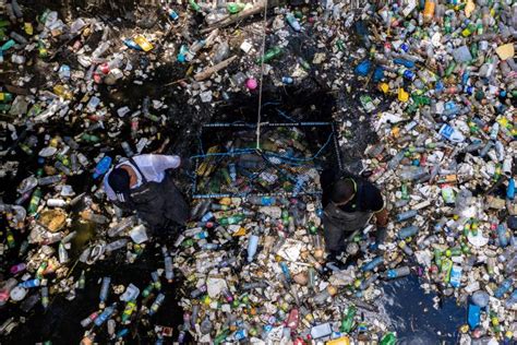 Plastic Chemical Pollution Beyond Planets Safe Limit Study The