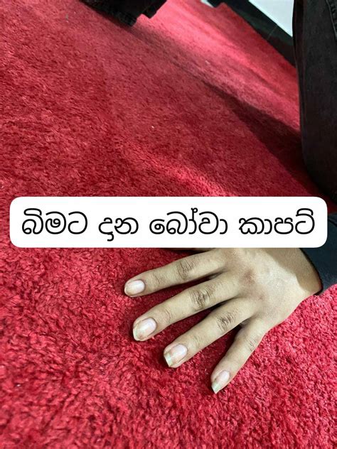 තොග කඩේ 🌎 අවුරුදු කාලෙට