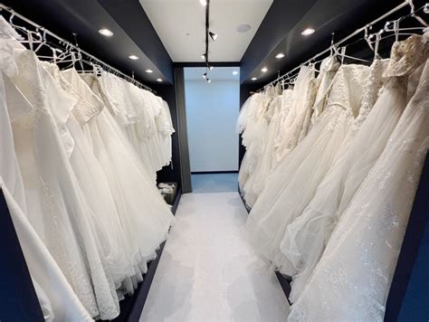 인천 강아지 가족사진 스튜디오 행복한 추억을 담아요 네이버 블로그