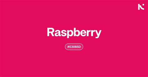Raspberry Color Meaning Hex Code Palettes Images