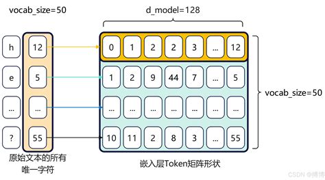 Token Embedding（词嵌入）和positional Encoding（位置编码）的矩阵形状关系及转换过程 Csdn博客