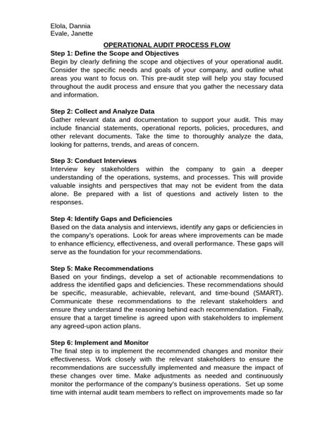 Operational Audit Process Pdf