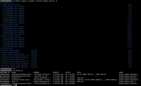 Self Hosting Penpot Ii Inside Penpot Penpot Community