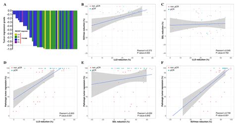Correlation Of Radiological Response And Pathological Tumor Regression Download Scientific