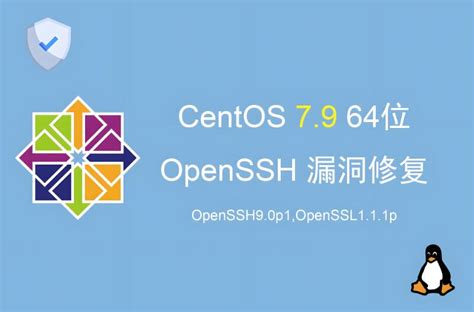 升级openssl版本 技术专栏 炬哥技术博客