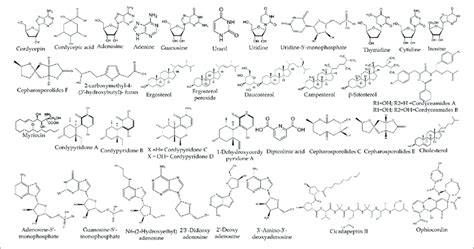 Chemical Structure Of The Bioactive Compounds Isolated From Cordyceps