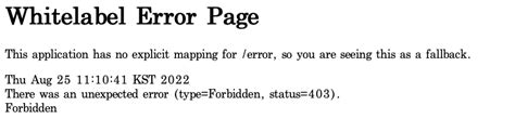 이슈해결 Spring Security 403 Forbidden 에러
