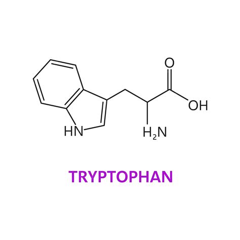 Premium Vector Tryptophan Amino Acid Chemical Molecule Structure