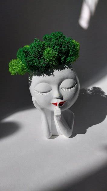 Кашпо девочка со стабилизированным мхом зеленого цвета купить онлайн на Rozetka