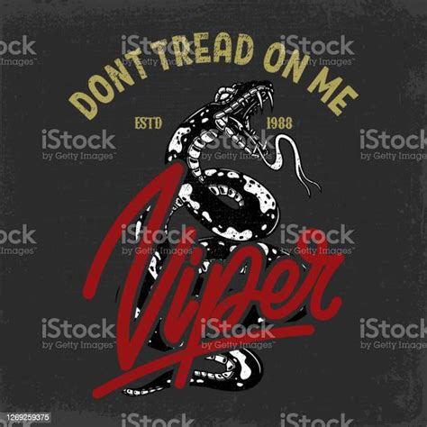 뱀 코브라 파이썬 빈티지 흑백 스타일의 독사의 일러스트 포스터 티셔츠용 디자인 요소 벡터 일러스트레이션 T 셔츠에 대한 스톡