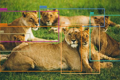 Seeing The World Through Language Object Detection With Grok Xai Cookbook