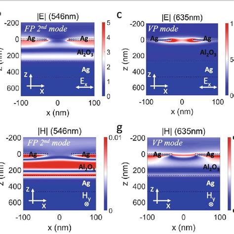 Calculated Spatial Field Distributions Of Electric A D And Magnetic
