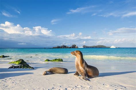 8 Must Visit Islands In The Galapagos