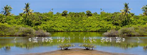 ދިވެހި ލިރިކްސް Lyricsvelaa Bis