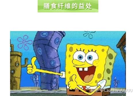揭秘人体第七大营养素膳食纤维 知乎