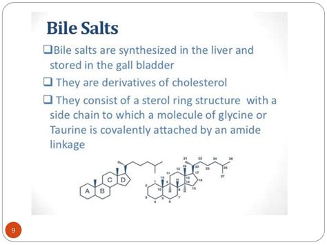 Metabolism Of Dietary Lipids For Biochemistry Ppt