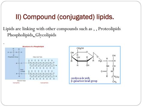 Ppt Lipids Powerpoint Presentation Free Download Id2209672