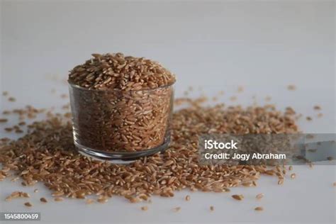 카플리 밀 Emmer Wheat 또는 Jave Godhi라고도 알려진 이 밀은 인도에서 가장 오래된 밀 품종 중 하나입니다 Farro에 대한 스톡 사진 및 기타 이미지