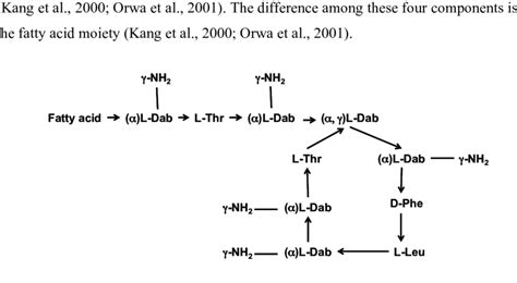 The Structure Of Polymyxin B Fatty Acid 6 Methyloctanoic Acid For