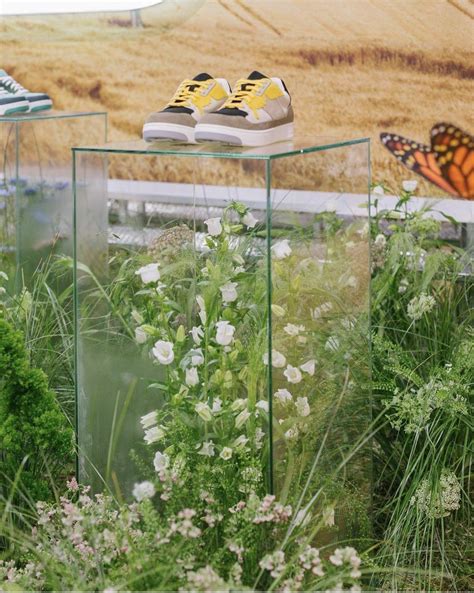 Glass Box Shoe Display