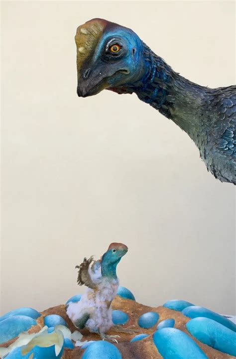 All About Oviraptor