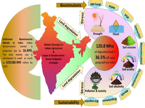 Biostimulants In Agriculture An Indian Perspective