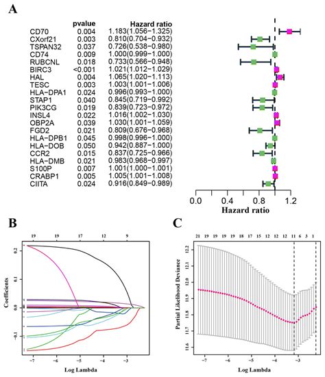 Identification Of An Immune Prognostic 11 Gene Signature For Lung Adenocarcinoma Peerj