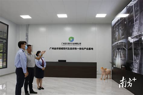 留抵退税释放红利，增城乡村增添动力发展广州市金农