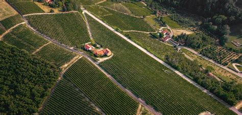 Dante Rivetti Born To Be Barbarescoo