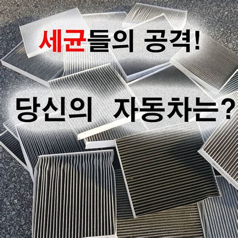 부산하늘안과 🌿 부산하늘안과가 자랑하는 그것 대기중에도 여러분의 눈과 마음이 휴식할 수 있도록 친환경적인 인테리어를 갖추고 있습니다 🥰 눈이 편해지는 식물들과 심신이