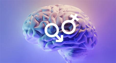 Sex Isme Dans La Recherche Biomédicale Echosciences Grand Est