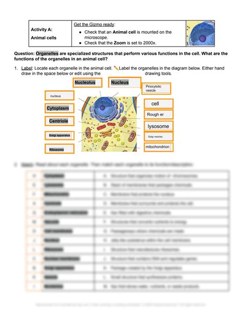 Solution Cooper Clack Gizmo Cellstructurese Studypool