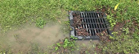 Sediment Pollution What It Is And How To Stop It